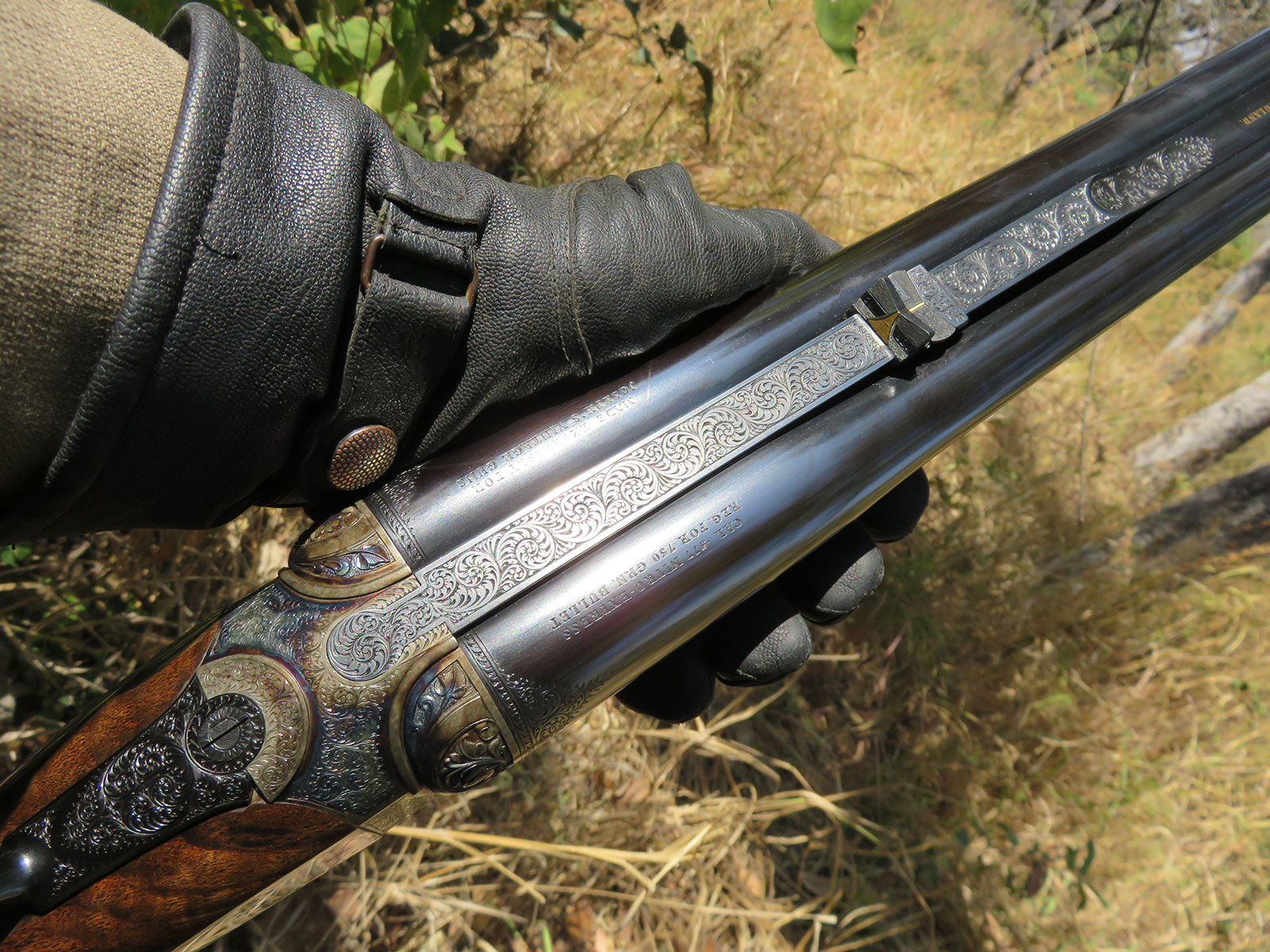 Elephant Gun Double Barrel