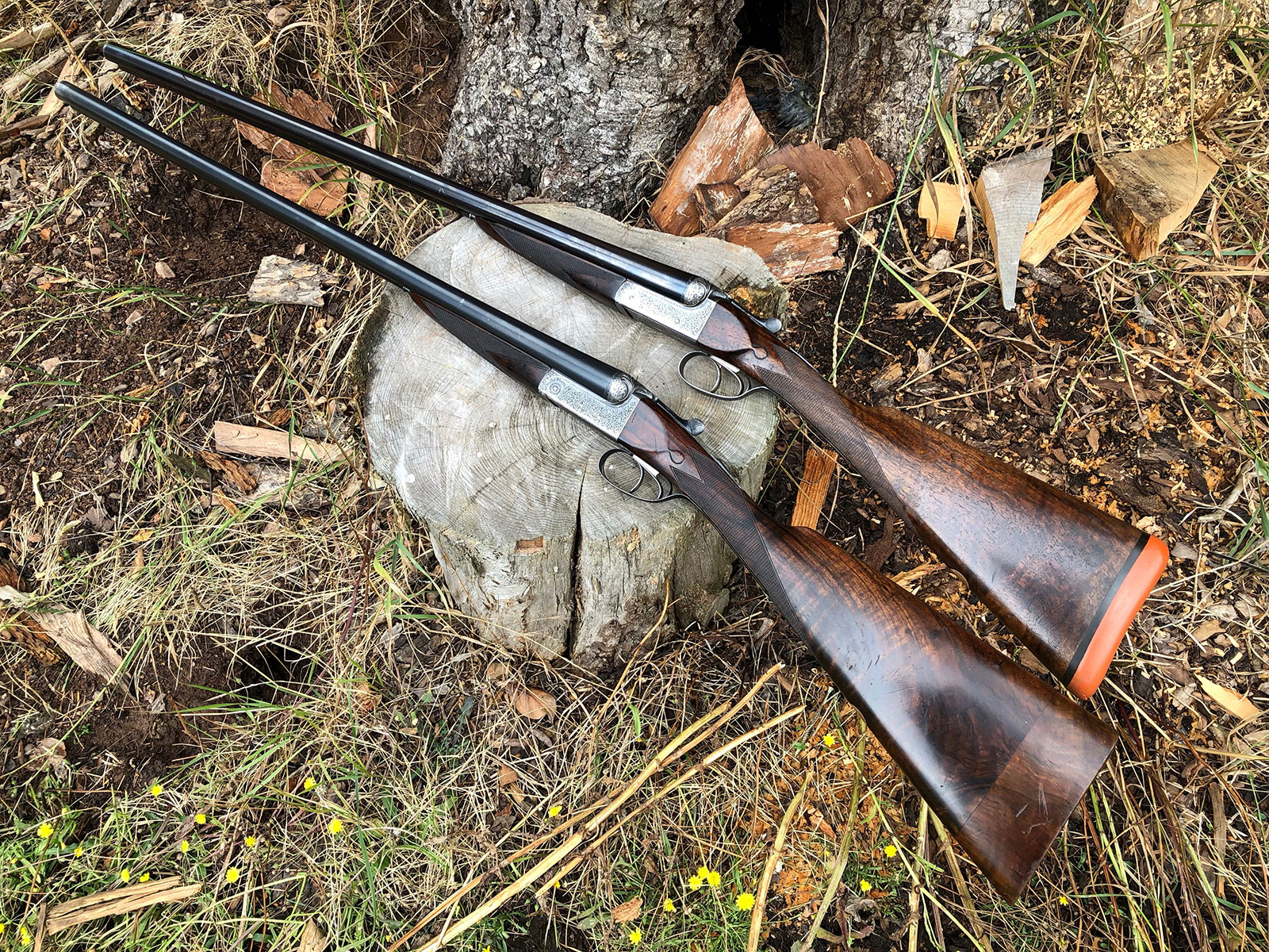 How a Dickson became paired with a Watson.