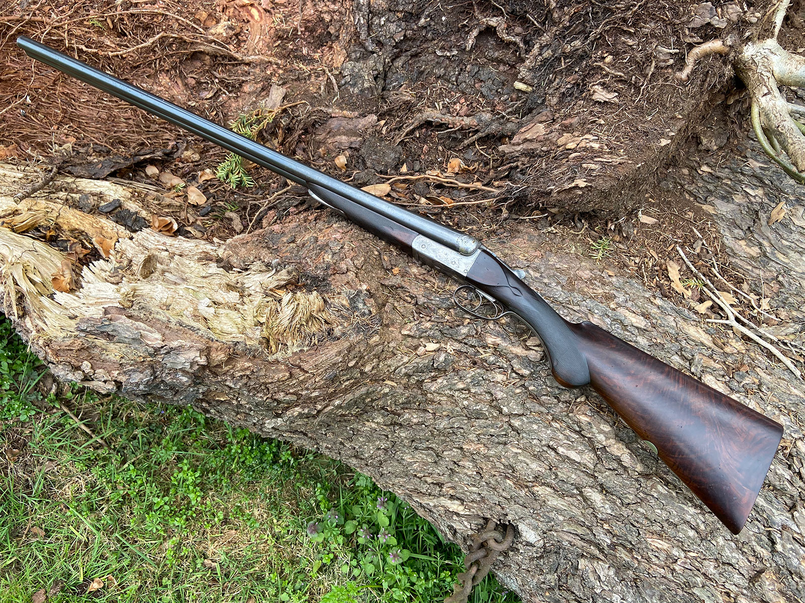 A Provincial Pigeon Gun