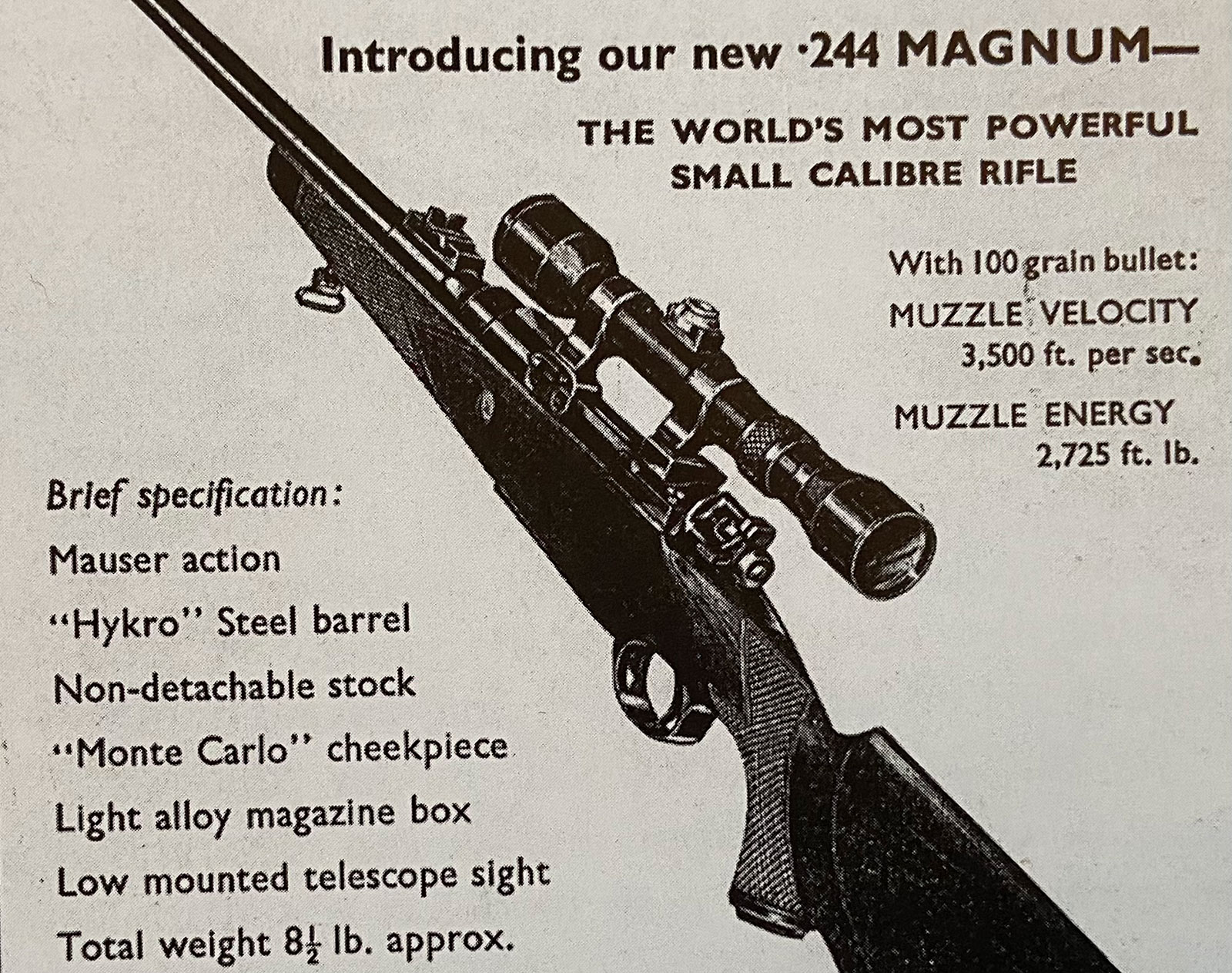 Rifles by David Lloyd