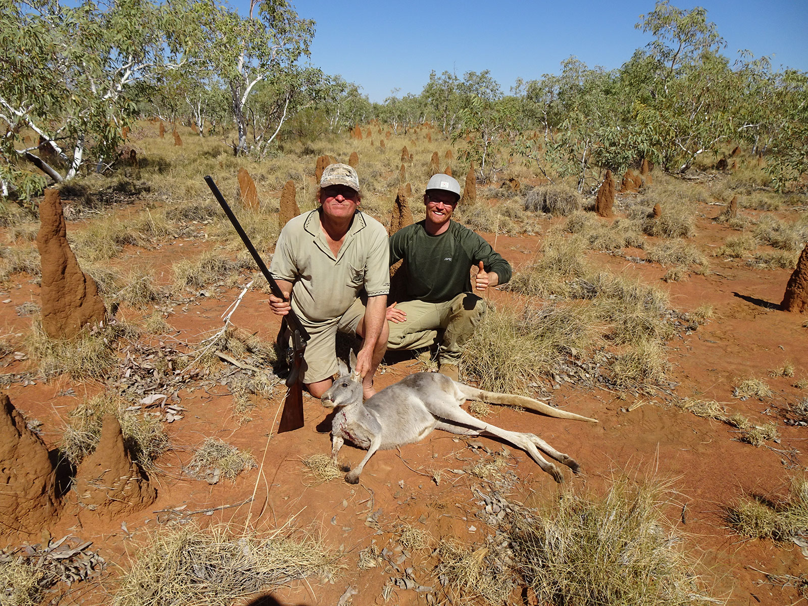 Greener Five Shoot Kangaroos