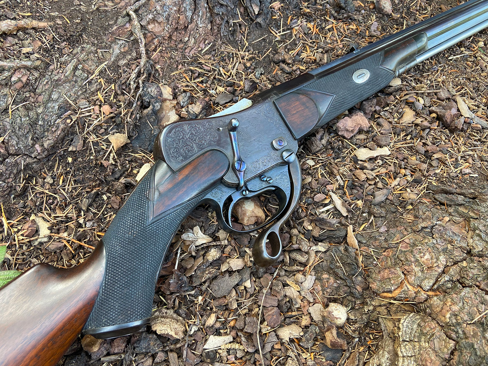 A Gift from a Queen?